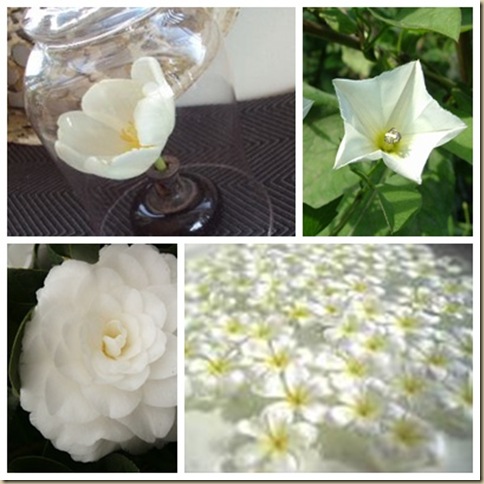 Purple Goat Lady: White Centerpieces and Flowers